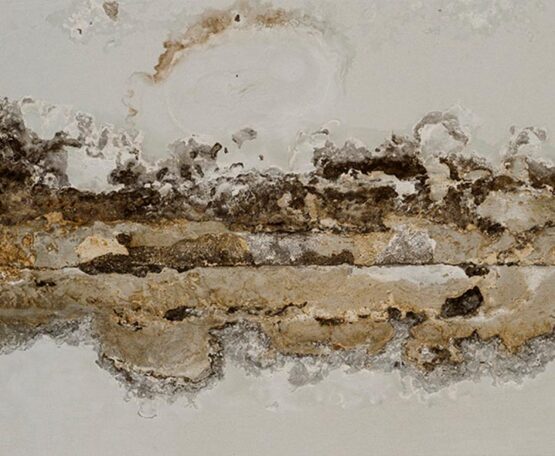 What is Mold Remediation? | Asbestos Removal PRO