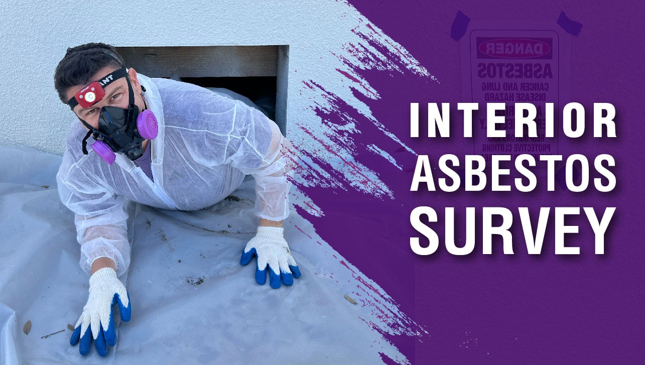 Interior Asbestos Survey Intro for Demolition Projects - Asbestos ...