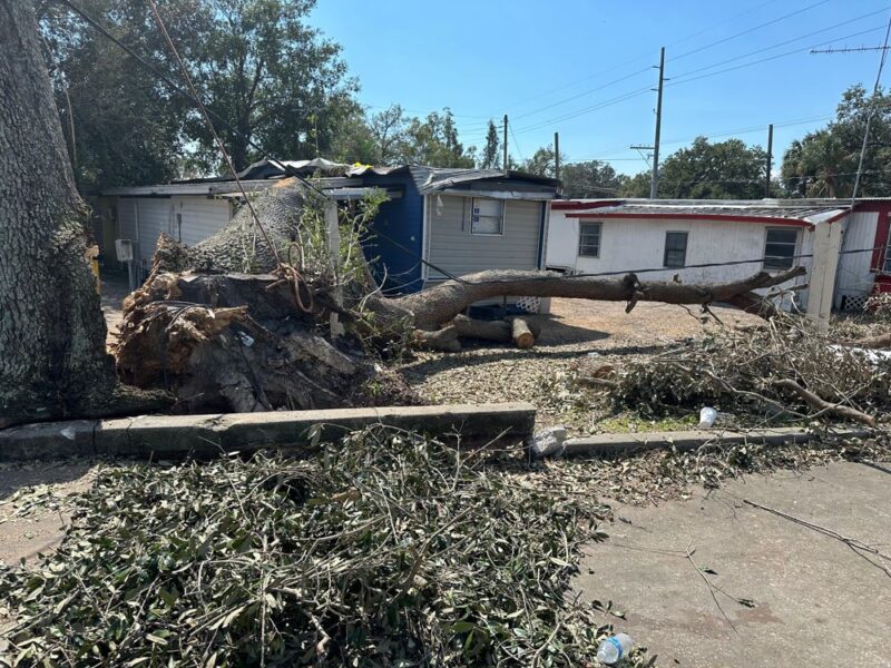 Asbestos Risks After Hurricane Damage | Asbestos Removal PRO